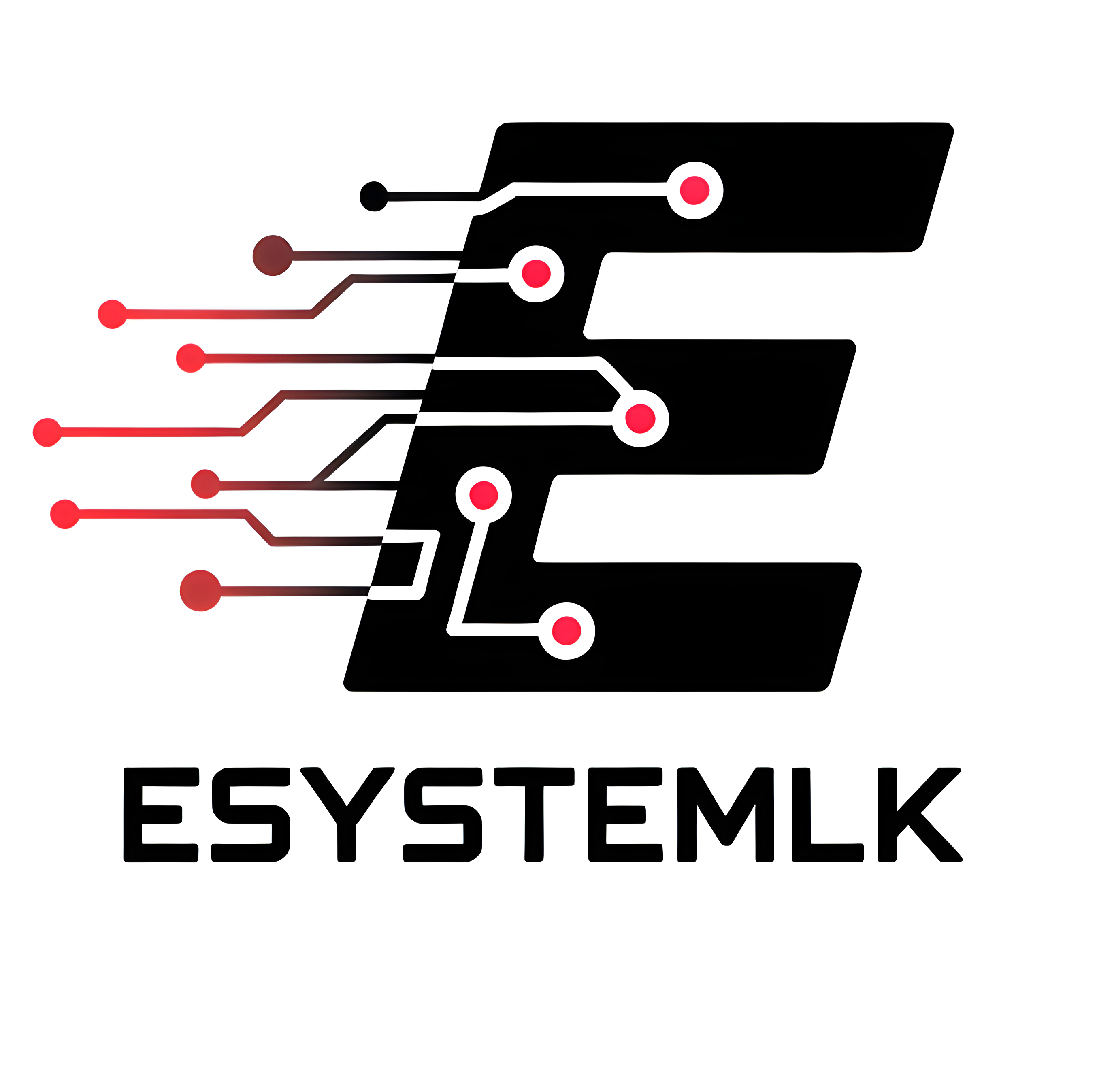 ESystemLk | Full-Stack Web Development & POS Solutions in Sri Lanka